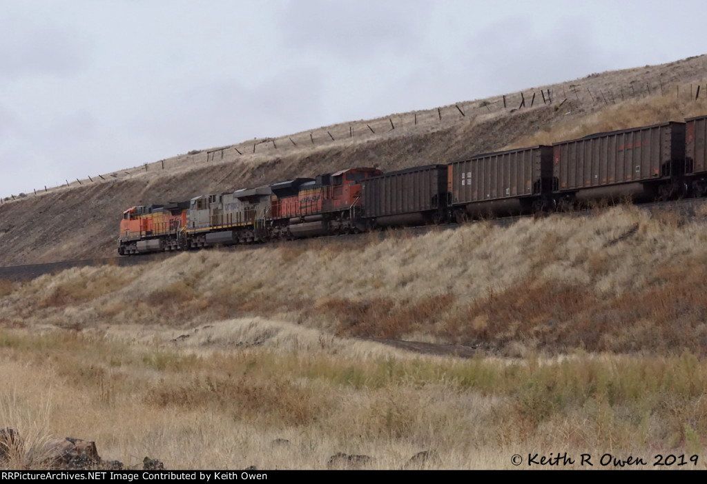 Westbound Coal